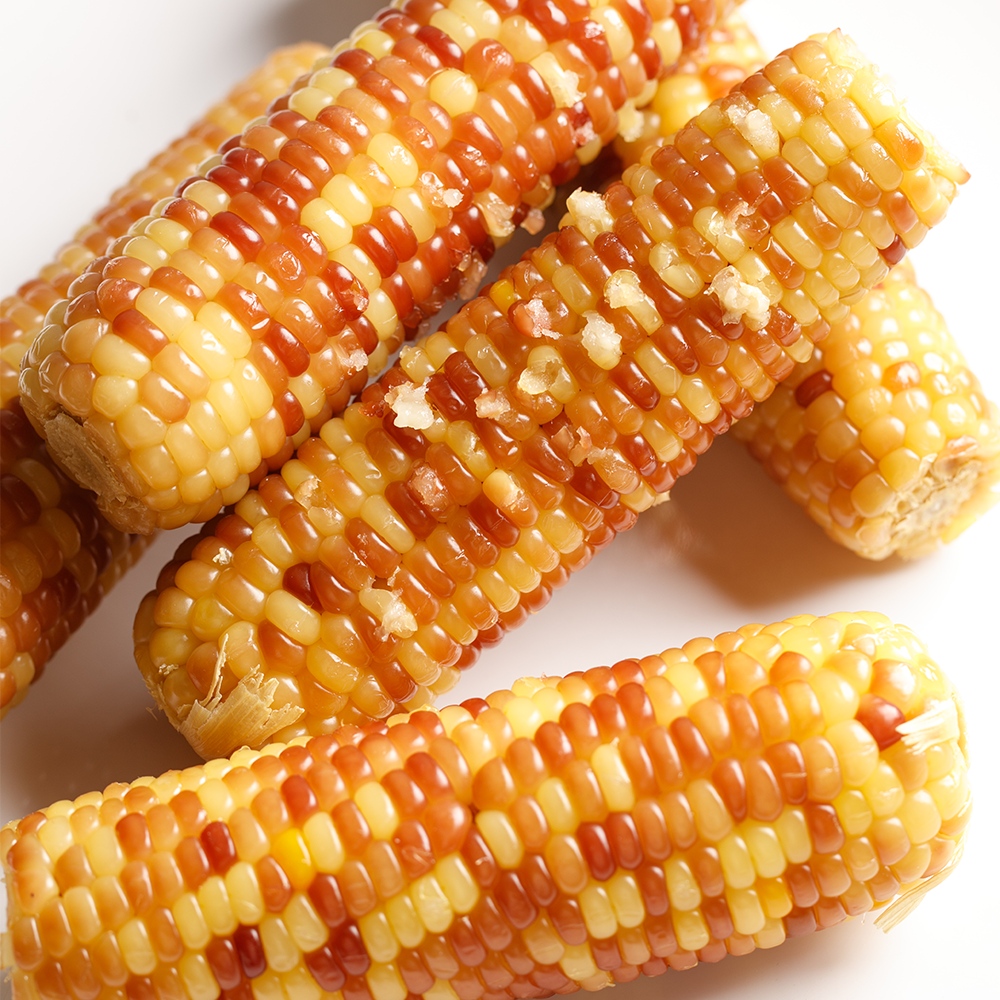Double Packed Mottled Waxy Corn On The Cob manufacturer, company ...
