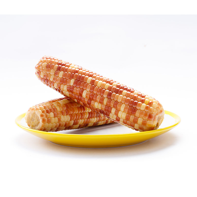 Double Packed Mottled Waxy Corn On The Cob manufacturer, company ...