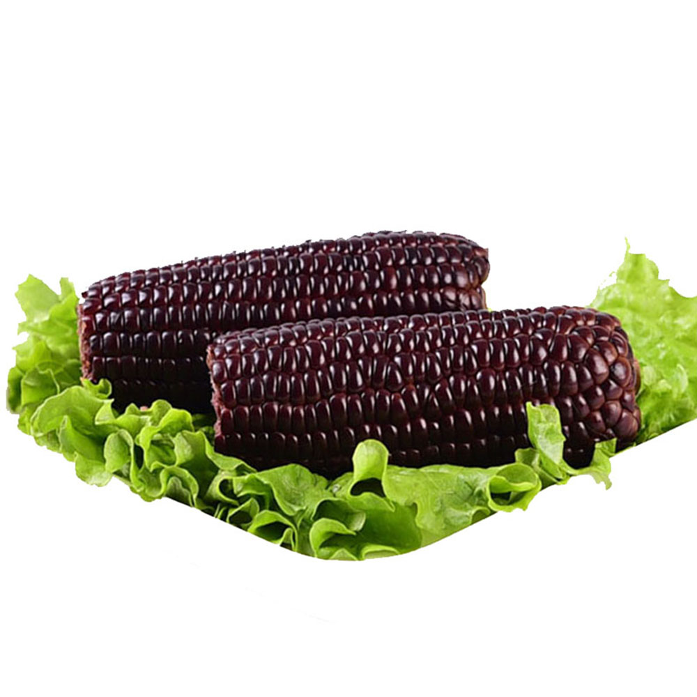 Single Packed Purple(Black) Waxy Corn On The Cob manufacturer, company ...