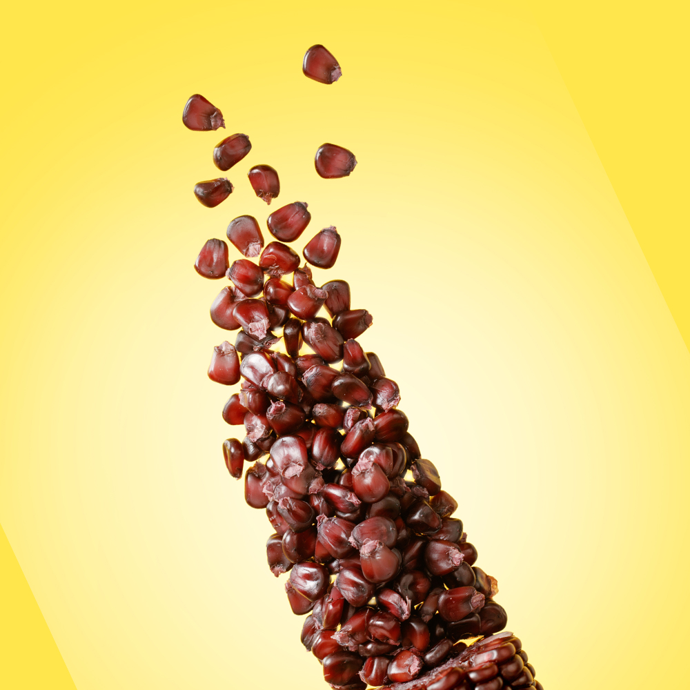 Single Packed Purple(Black) Waxy Corn On The Cob manufacturer, company ...