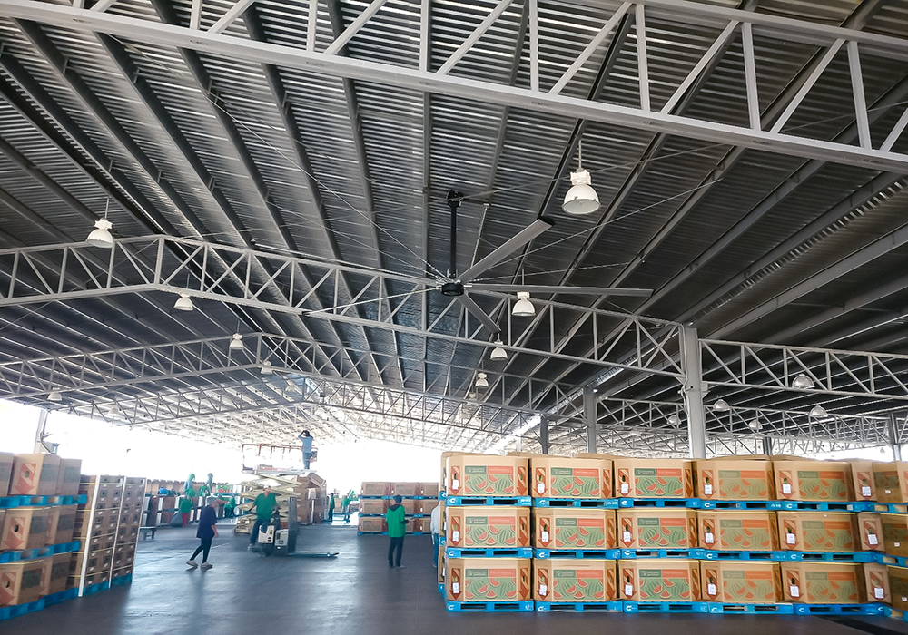 Kale Fans Industrial Solutions - Elevating Food Processing Environments ...