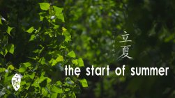 Summer&high temperature,don't worry-Xinxiang SIMO Blower Co., Ltd.