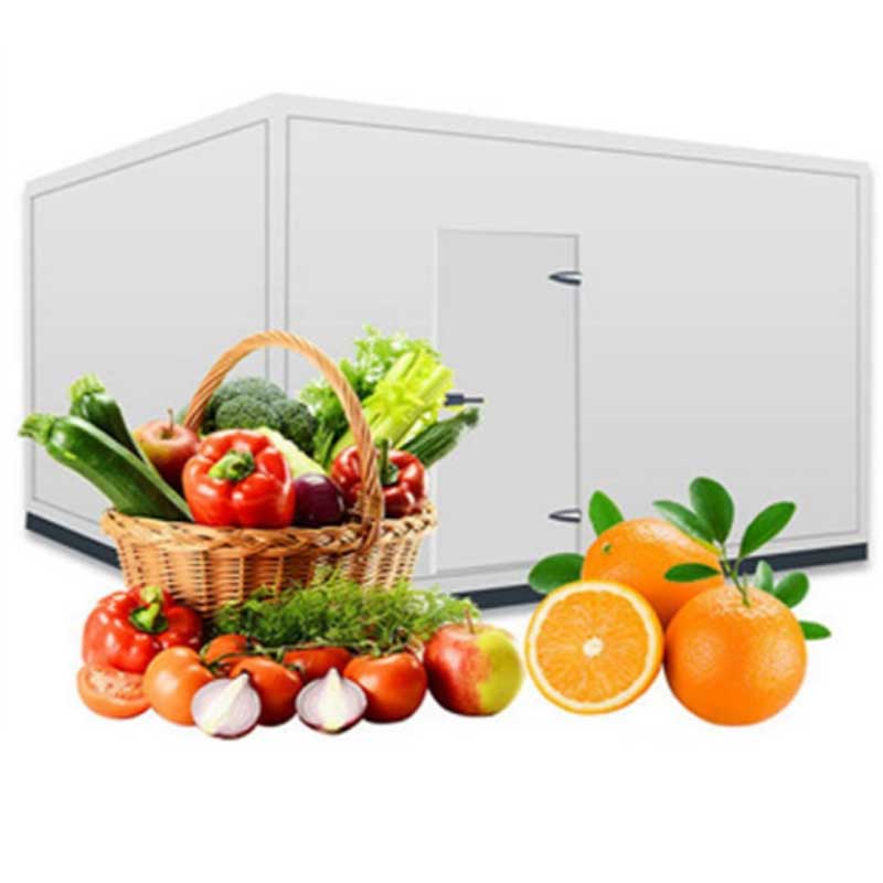 Cold Storage Room For Fruits & Vegetables manufacturer, company ...