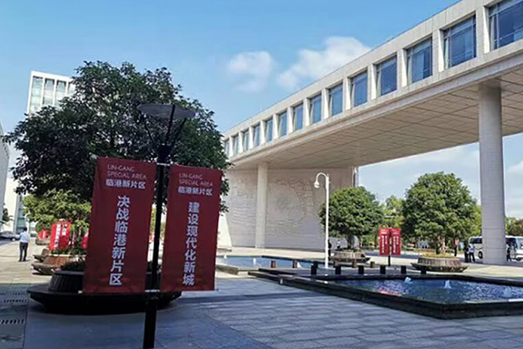 Lingang Is Forming a World-Class Advanced Manufacturing Industry ...