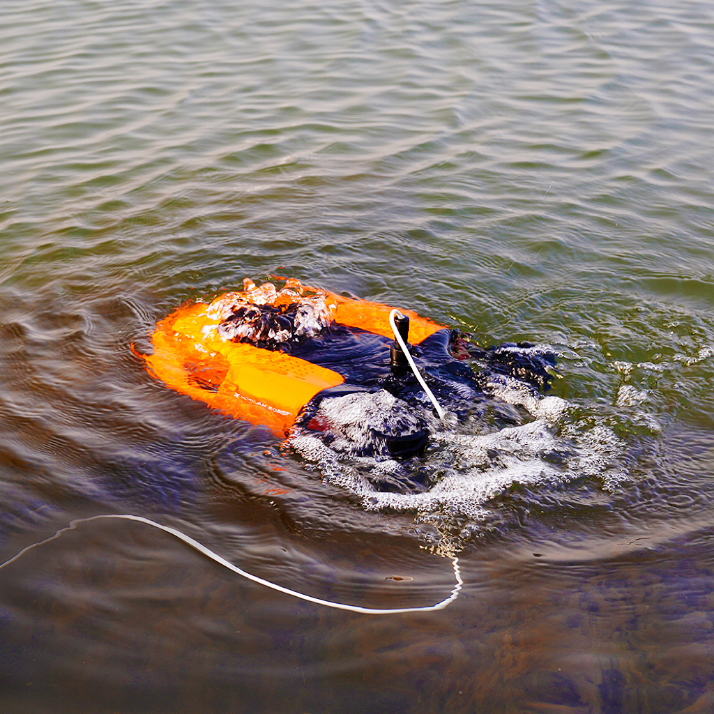 BW Space Pro Max Underwater Drone manufacturer, company, supplier ...