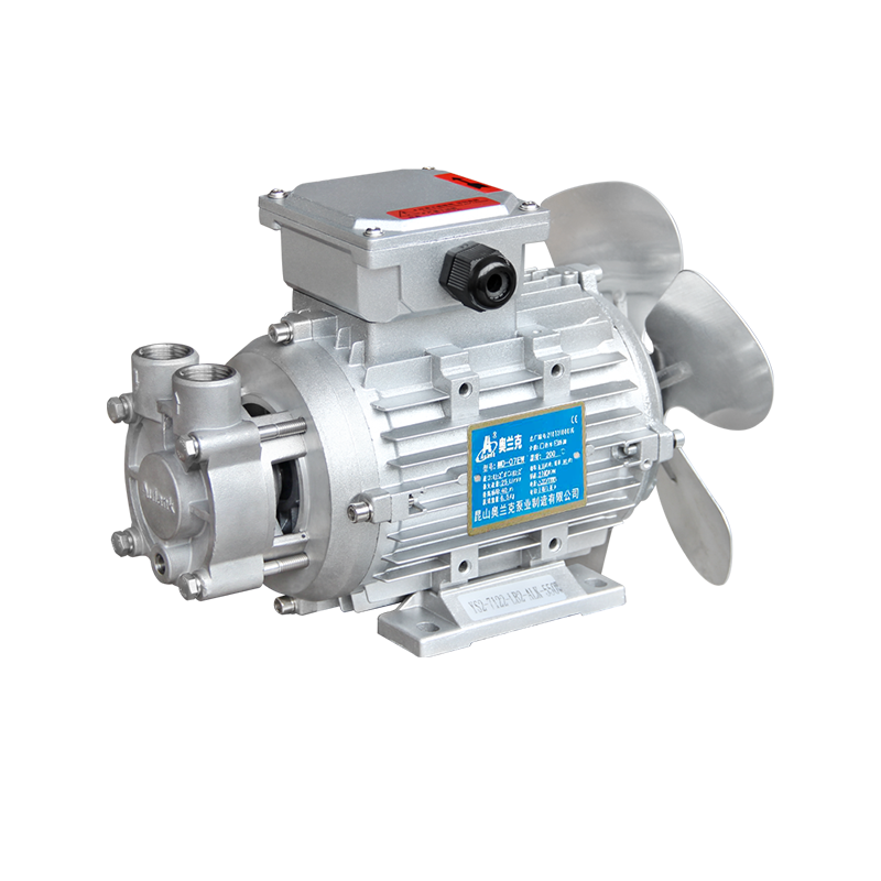 Polyurethane foaming machine high-temperature hot oil pump WD Aulank ...