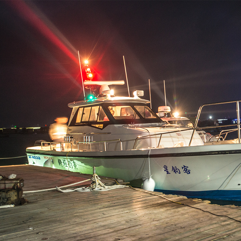 Bi-Color Bow Lights-GM-EP-LN0120D