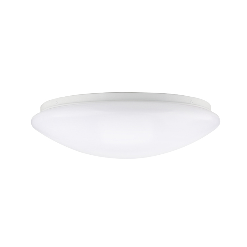 18W LED Surface Mounted Ceiling Light CL09-18-PR-01 manufacturer, supplier, OEM | Shenzhen ...