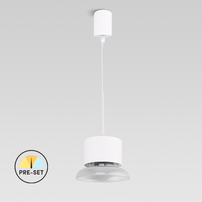 13.5W LED Pendant Light PD07-15-PR-02 manufacturer, supplier, OEM | Shenzhen Norming Lighting Co ...
