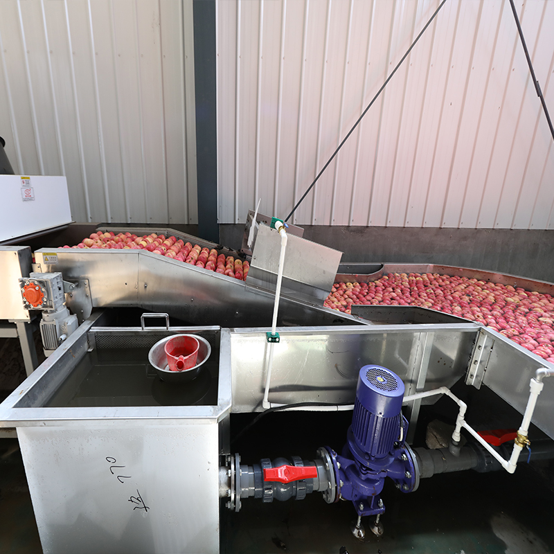Apple Washing Sorting And Packing Line manufacturer, company, supplier ...