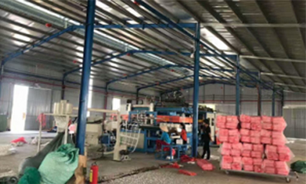 On-site Photos Of Ps Foam Food Container Forming Cutting And Stacking ...