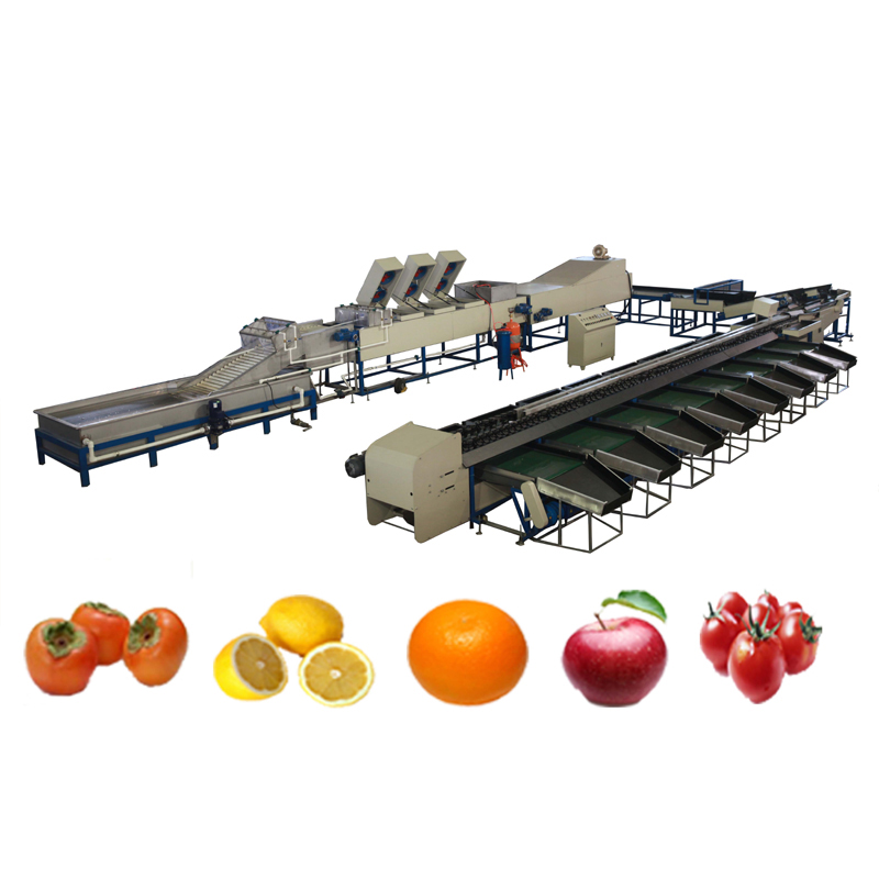 Fruit Washing Waxing And Sorting Machine manufacturer, company, supplier | Longkou Fushi Packing ...