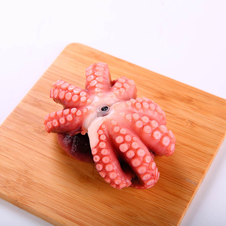Frozen Octopus Tako