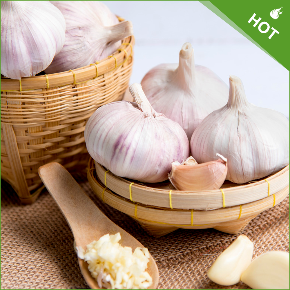 Experienced supplier of Pure White Garlic